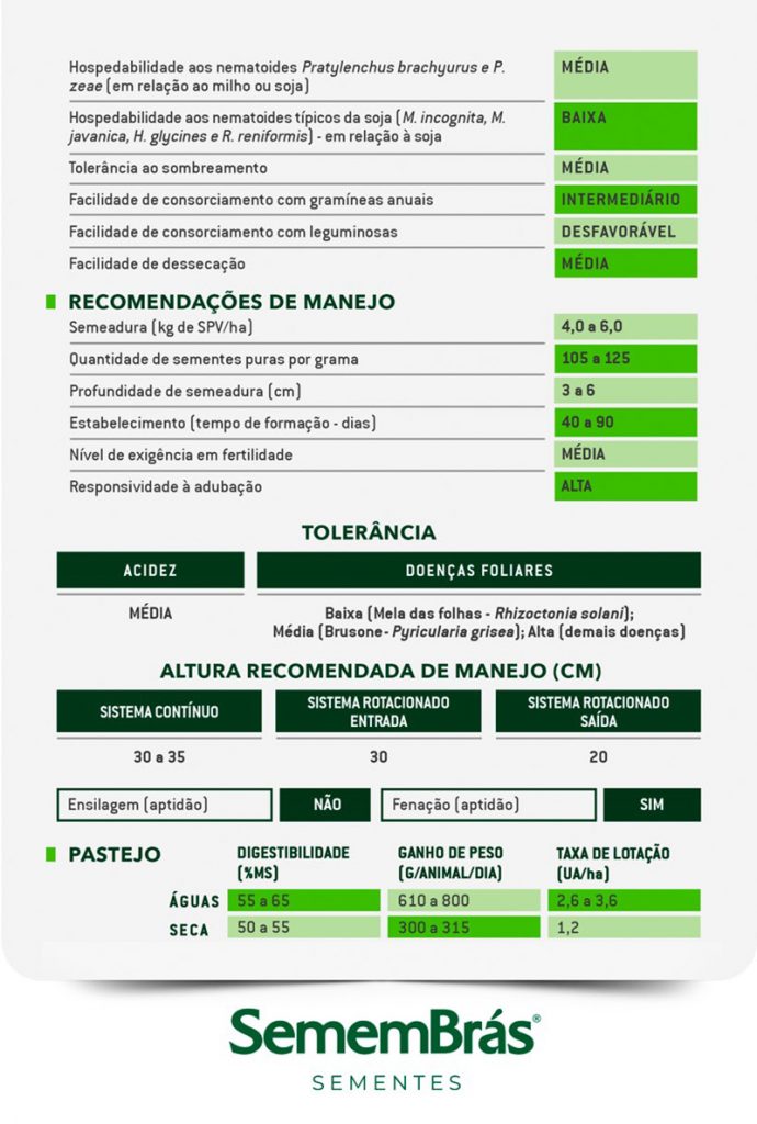 Semembrás Sementes - Brachiarias - Marandú